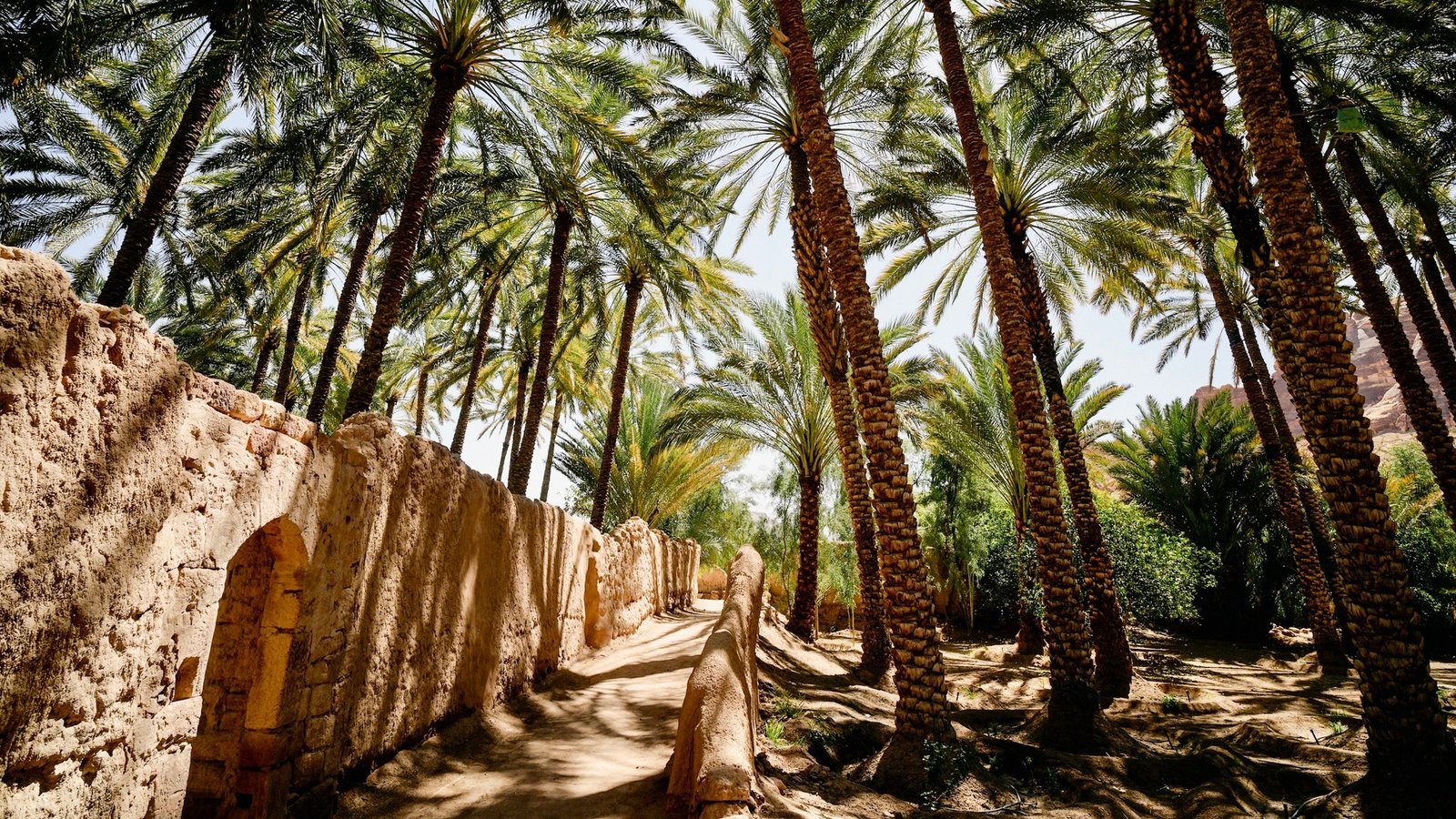 Discover AlUla with Guided Tours: Unforgettable Experiences - Easy Access